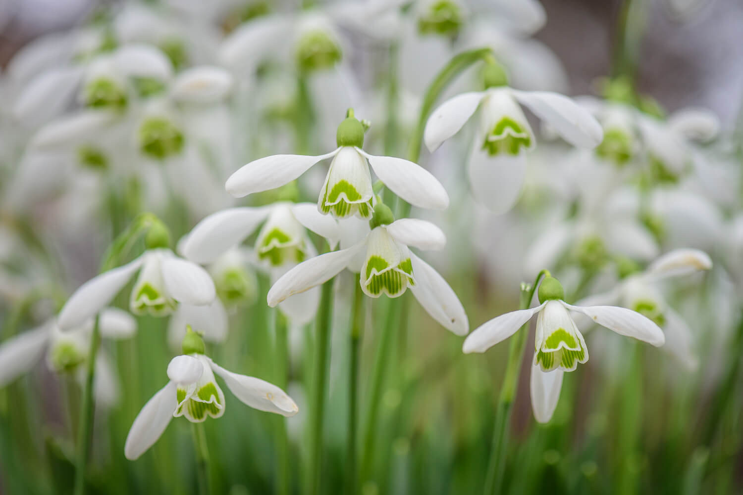 Home - David L. Culp